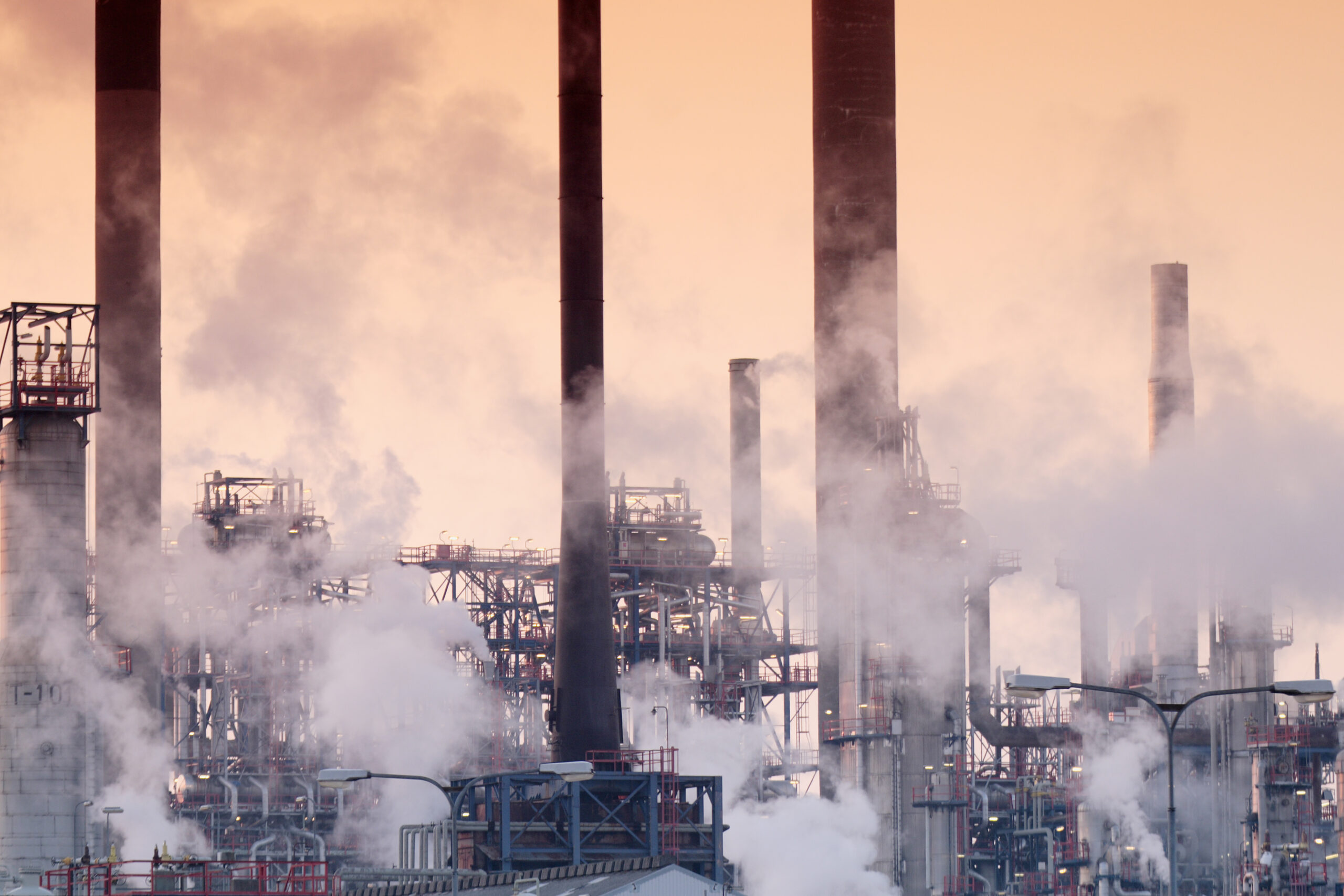 5 snabba fakta om Preemraff - Naturskyddsföreningen