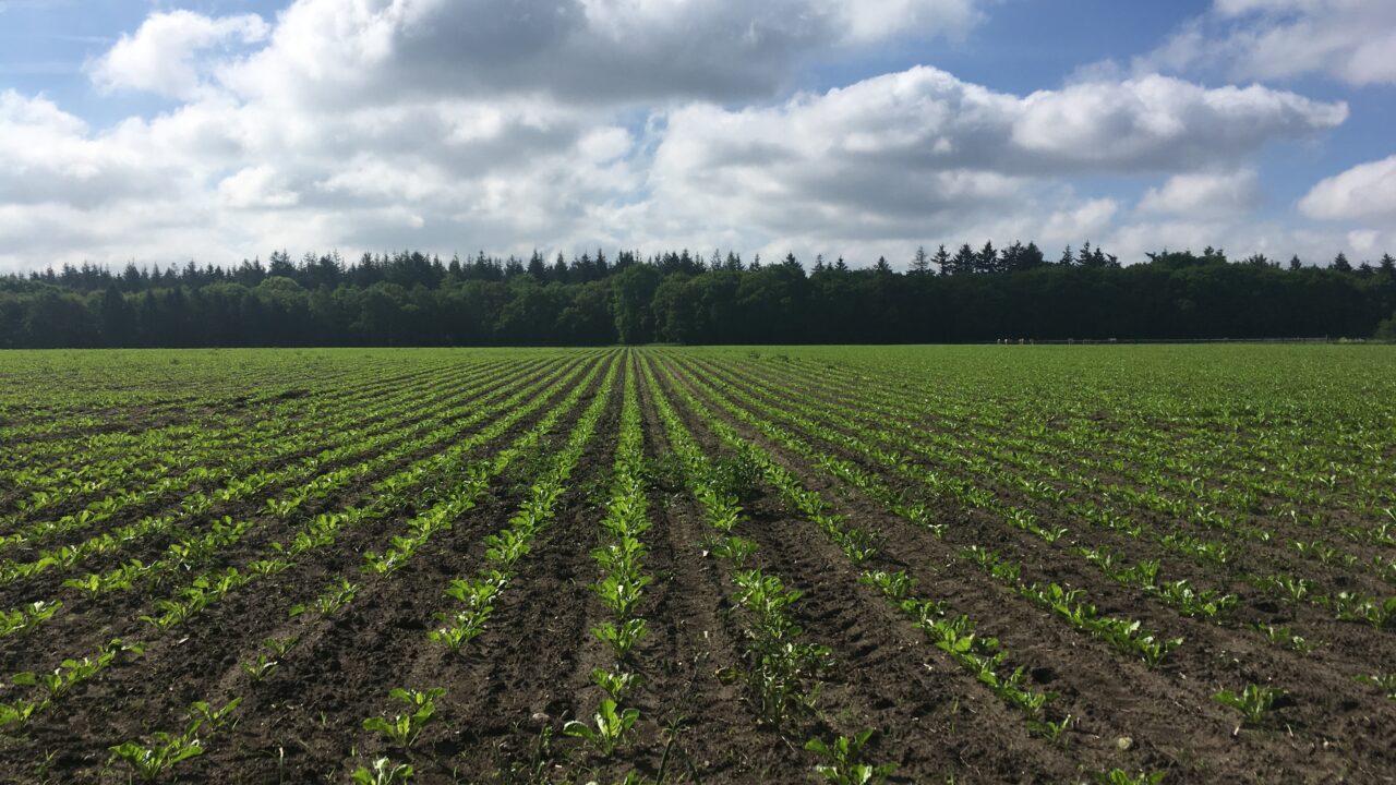 Odlings­landskapet – Naturskyddsföreningen