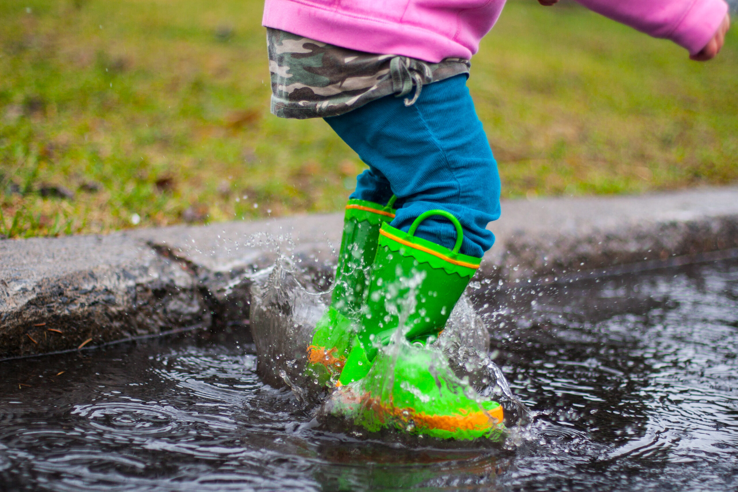Dansa i regnet - Naturskyddsföreningen