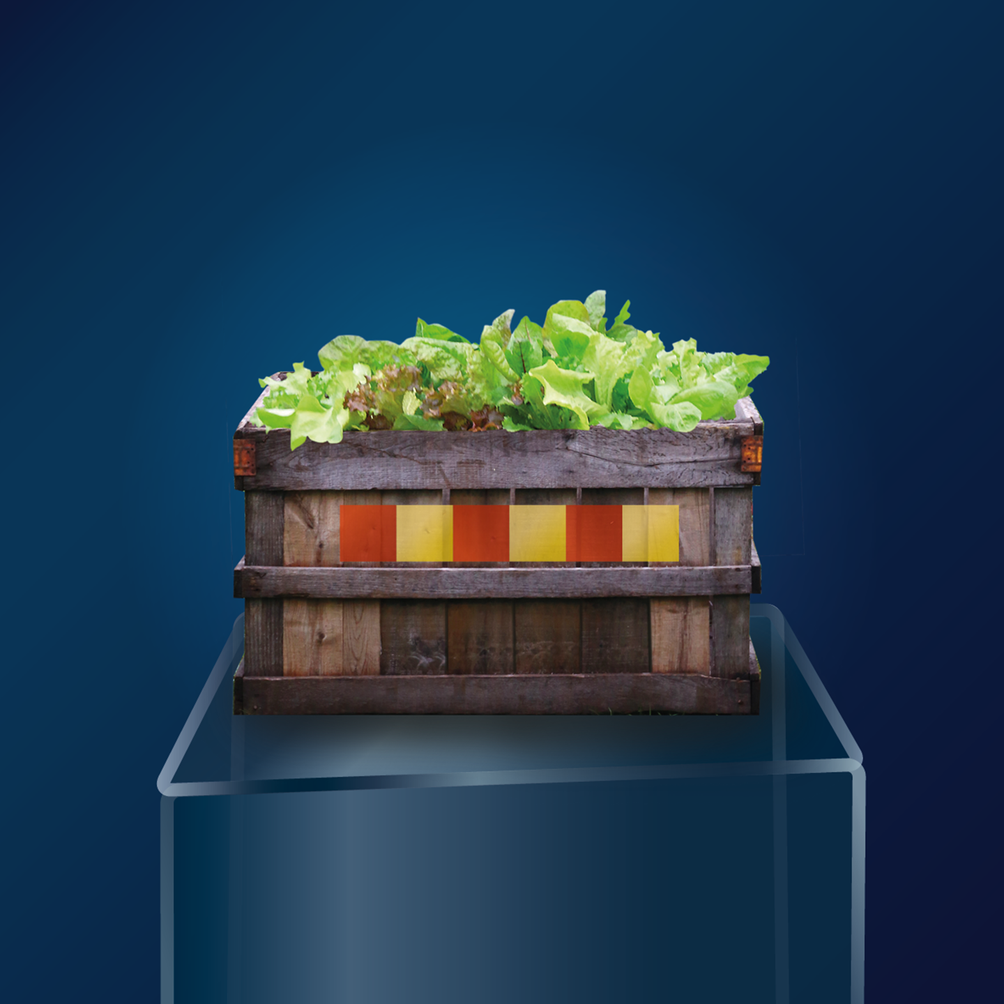 Planter box (2028) - Naturskyddsföreningen