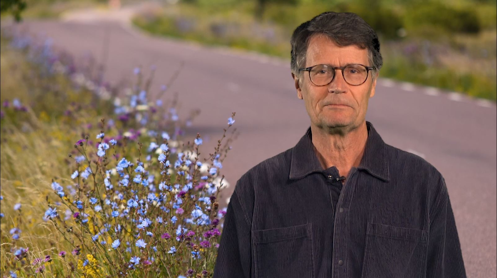 Det här är Världens längsta blomsteräng - Naturskyddsföreningen