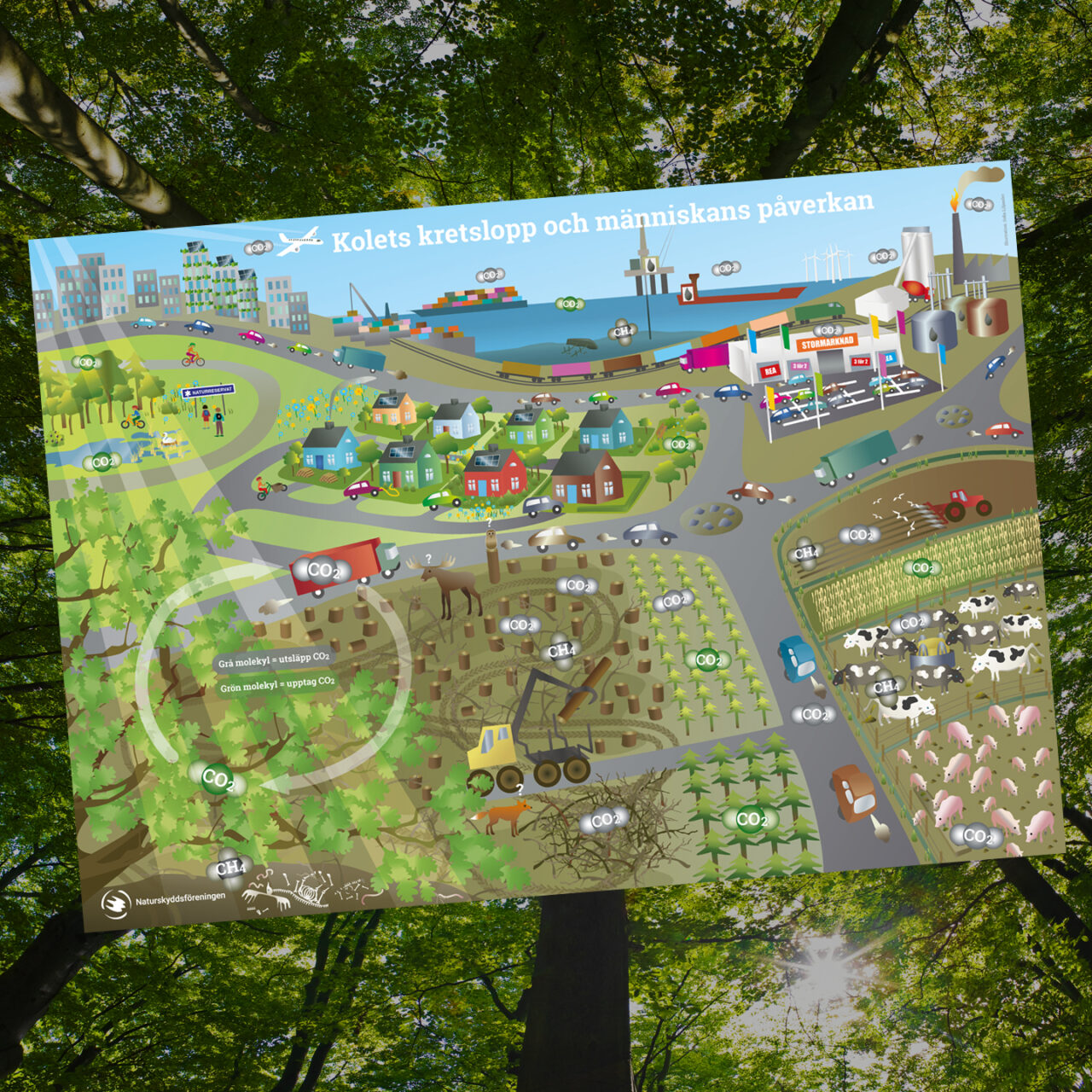 Illustration: Kolets kretslopp och människans påverkan ...