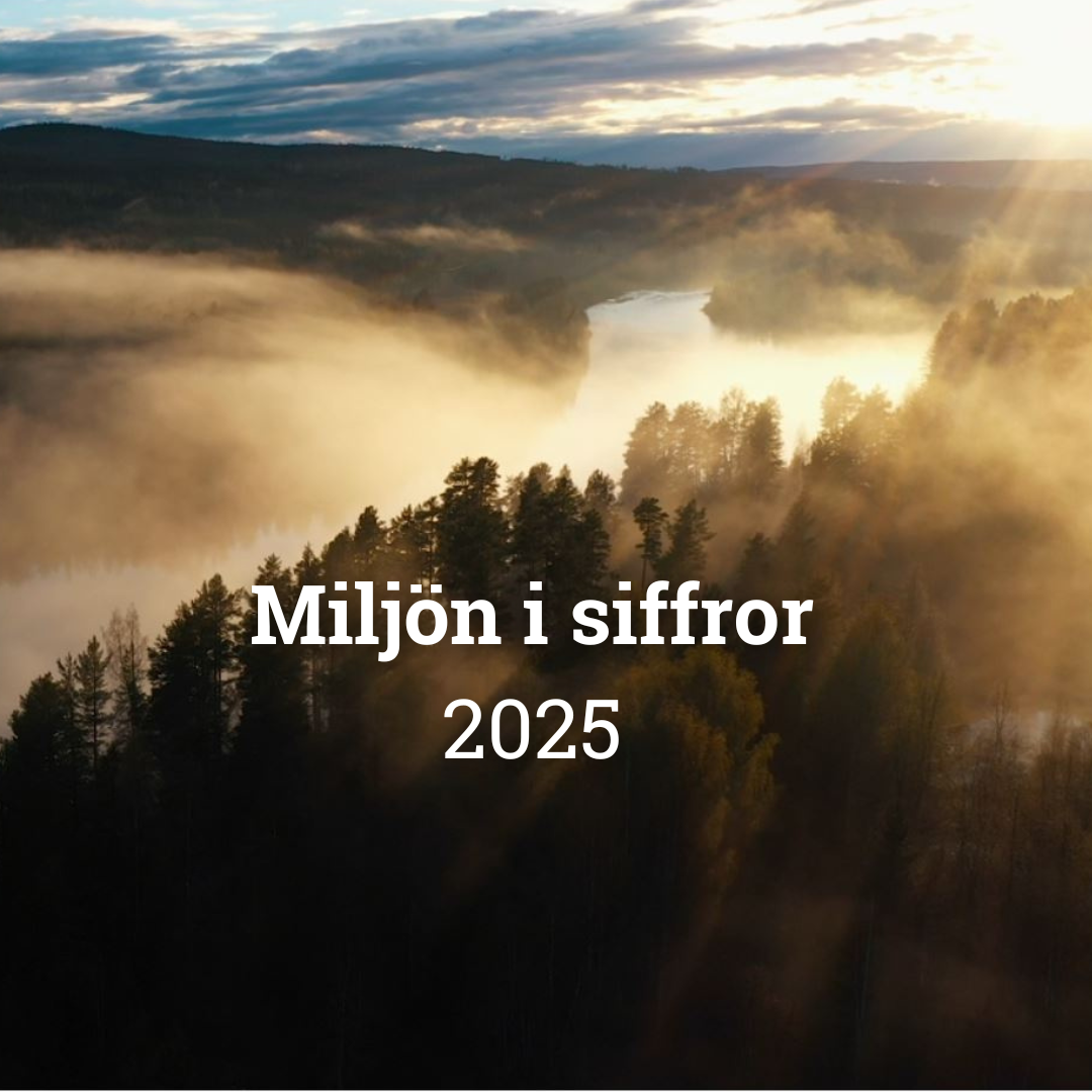 Miljön i siffror 2025 - Naturskyddsföreningen