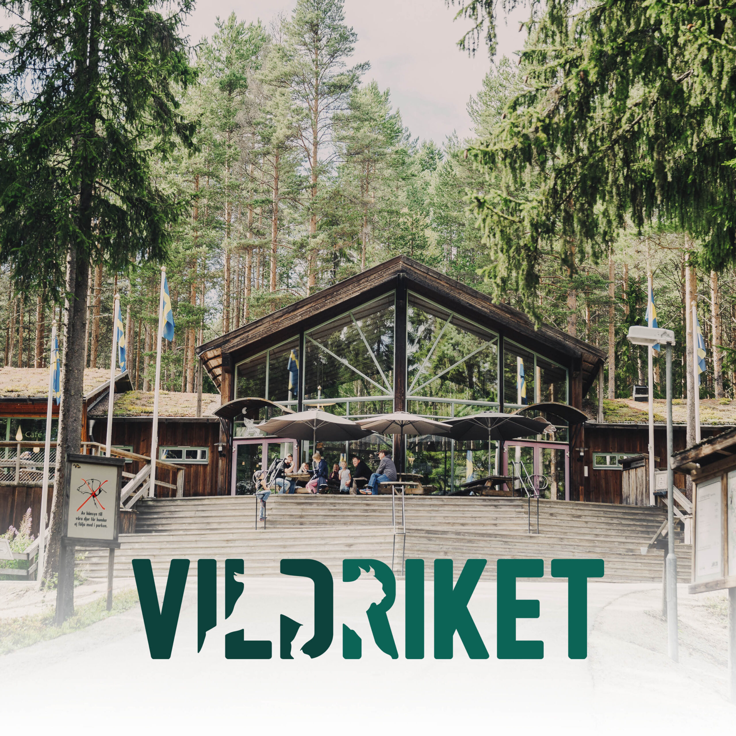 Samarbeten med stiftelser: Vildriket - Naturskyddsföreningen