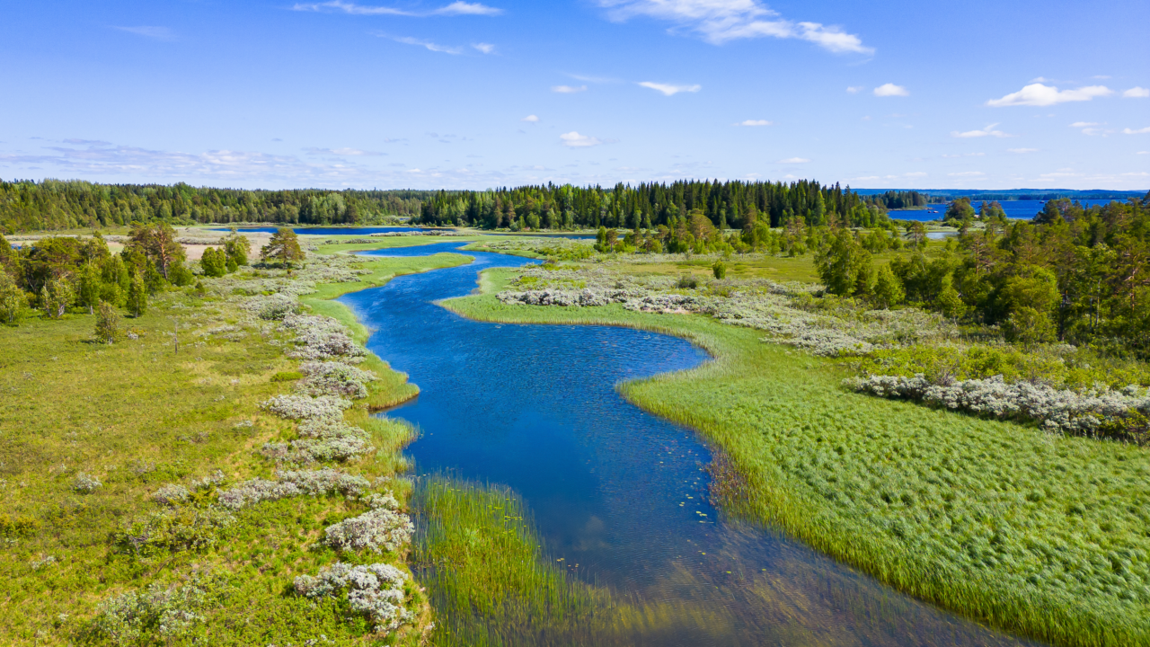 Vad innebär naturrestaureringslagen? - Naturskyddsföreningen