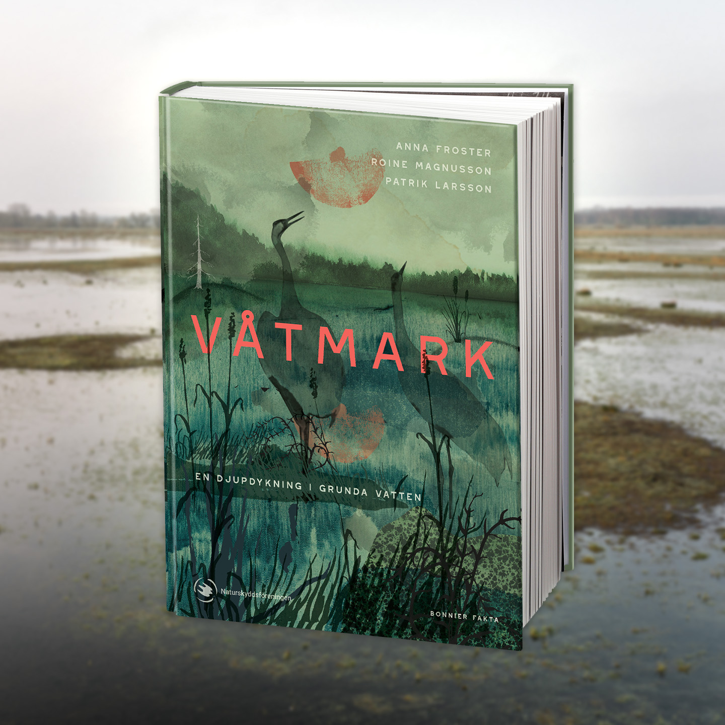 Våtmark - en grumlig historia om vattnet på land