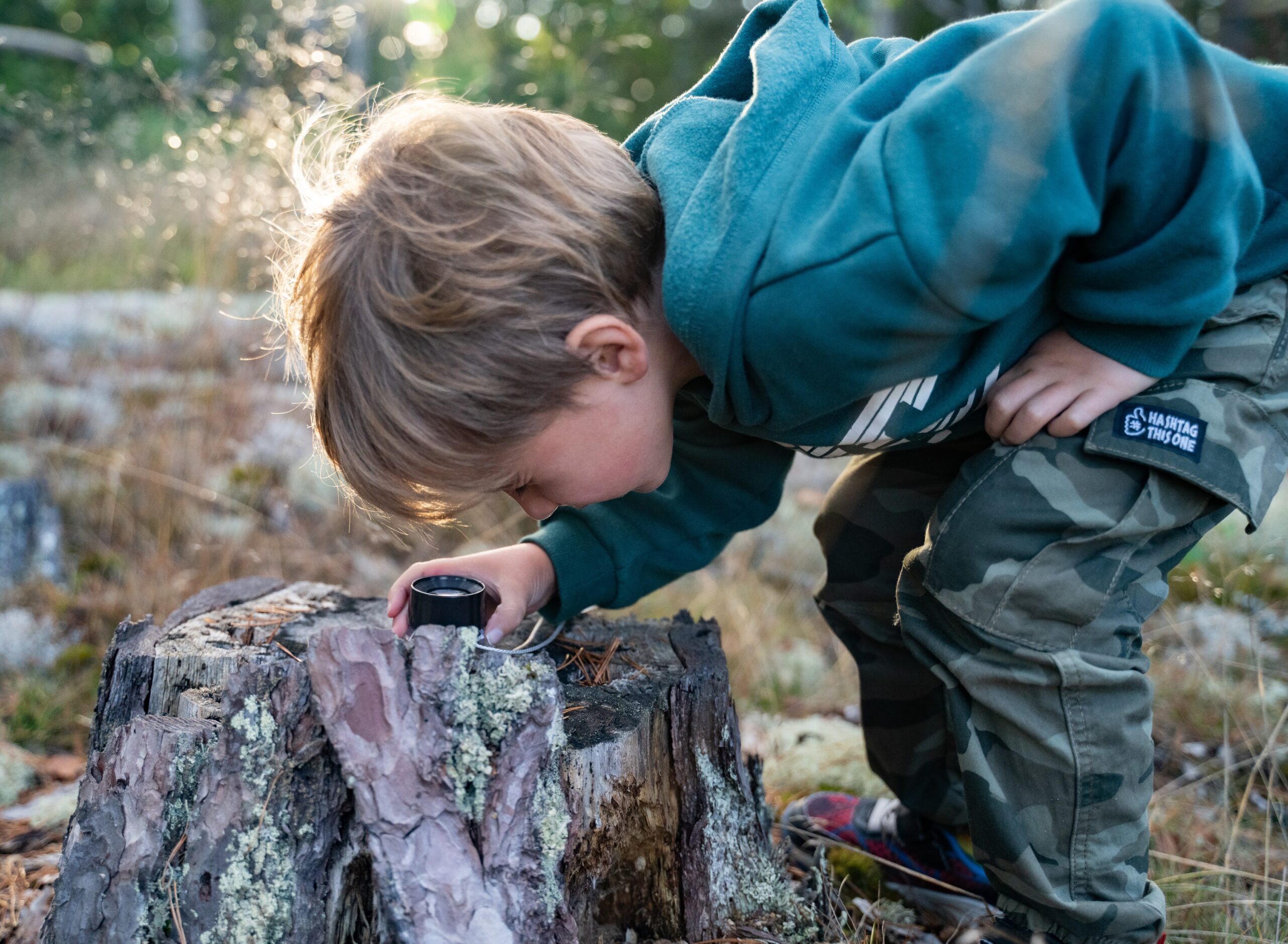 Inventera småkryp - Naturskyddsföreningen
